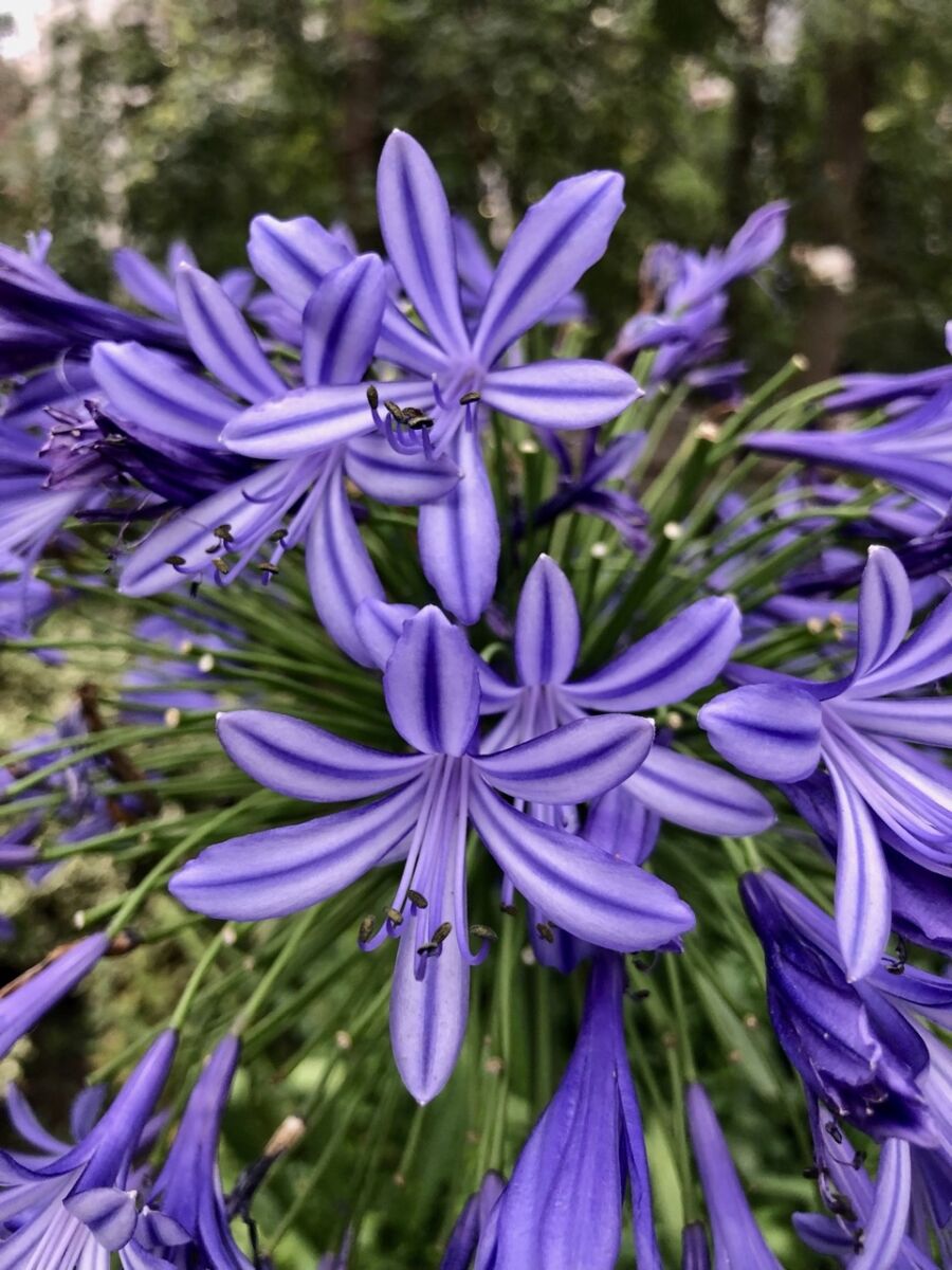 Members Photo walk 2022 | London Mac User Group